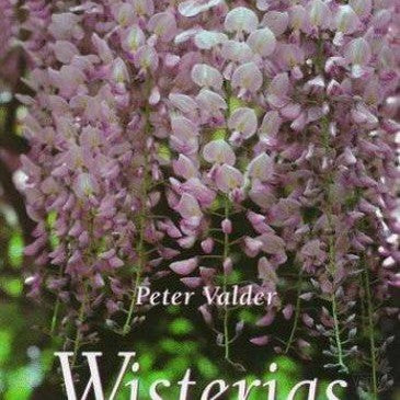 Wisterias A Comprehensive Guide By Peter Valder Book